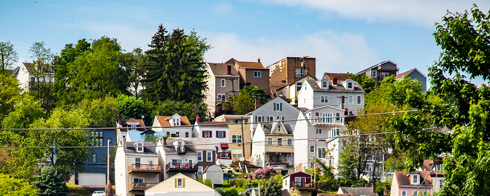 Housing Stabilization Program